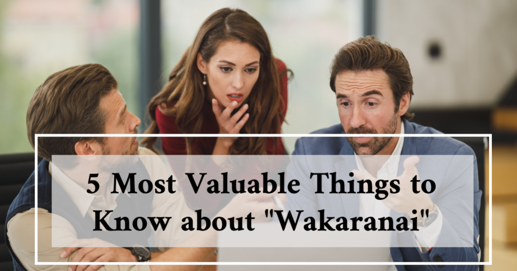 5 Valuable Things to Know about “Wakaranai”（分からない） - EDOPEN Japan