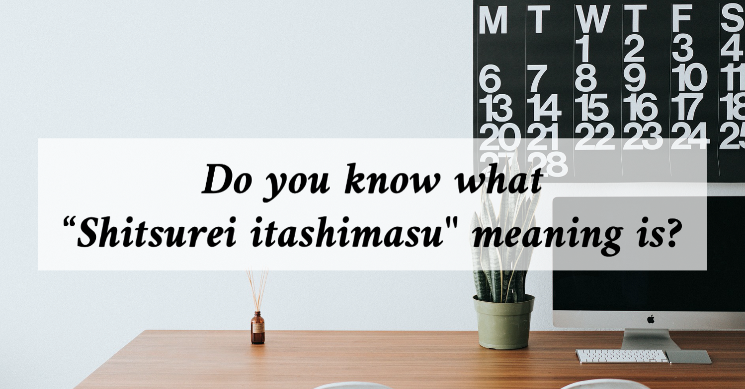 11 Great Ways to Express Sorry in Japanese - EDOPEN Japan