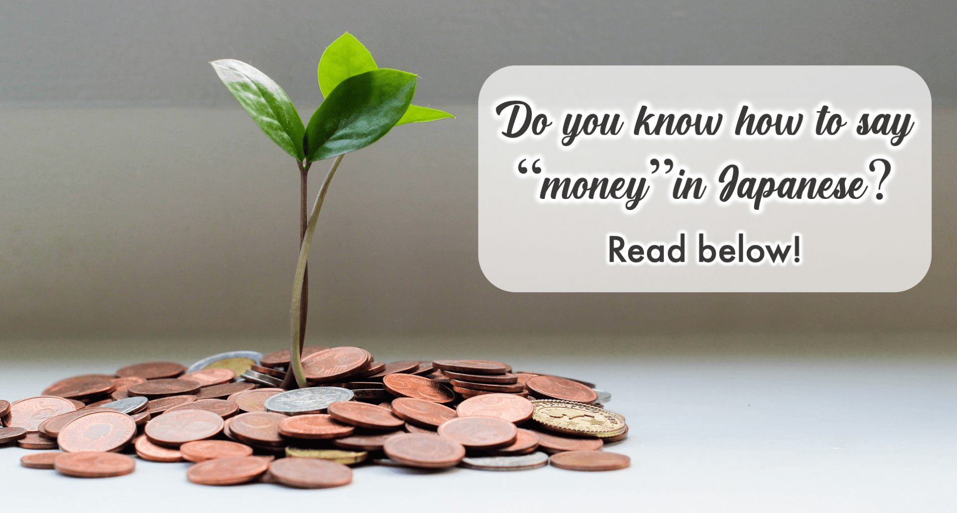 How To Count Money In Japanese EDOPEN Japan