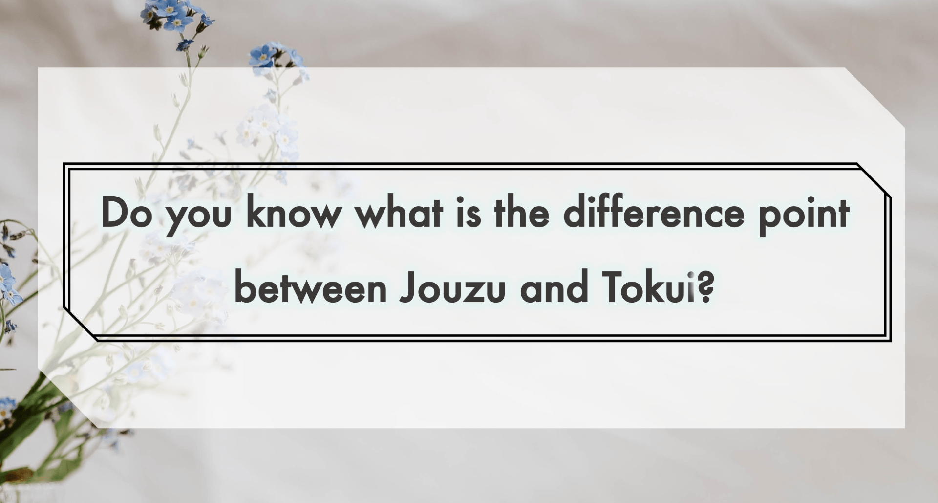 12 Important Things You Need To Know On Jouzu Edopen Japan