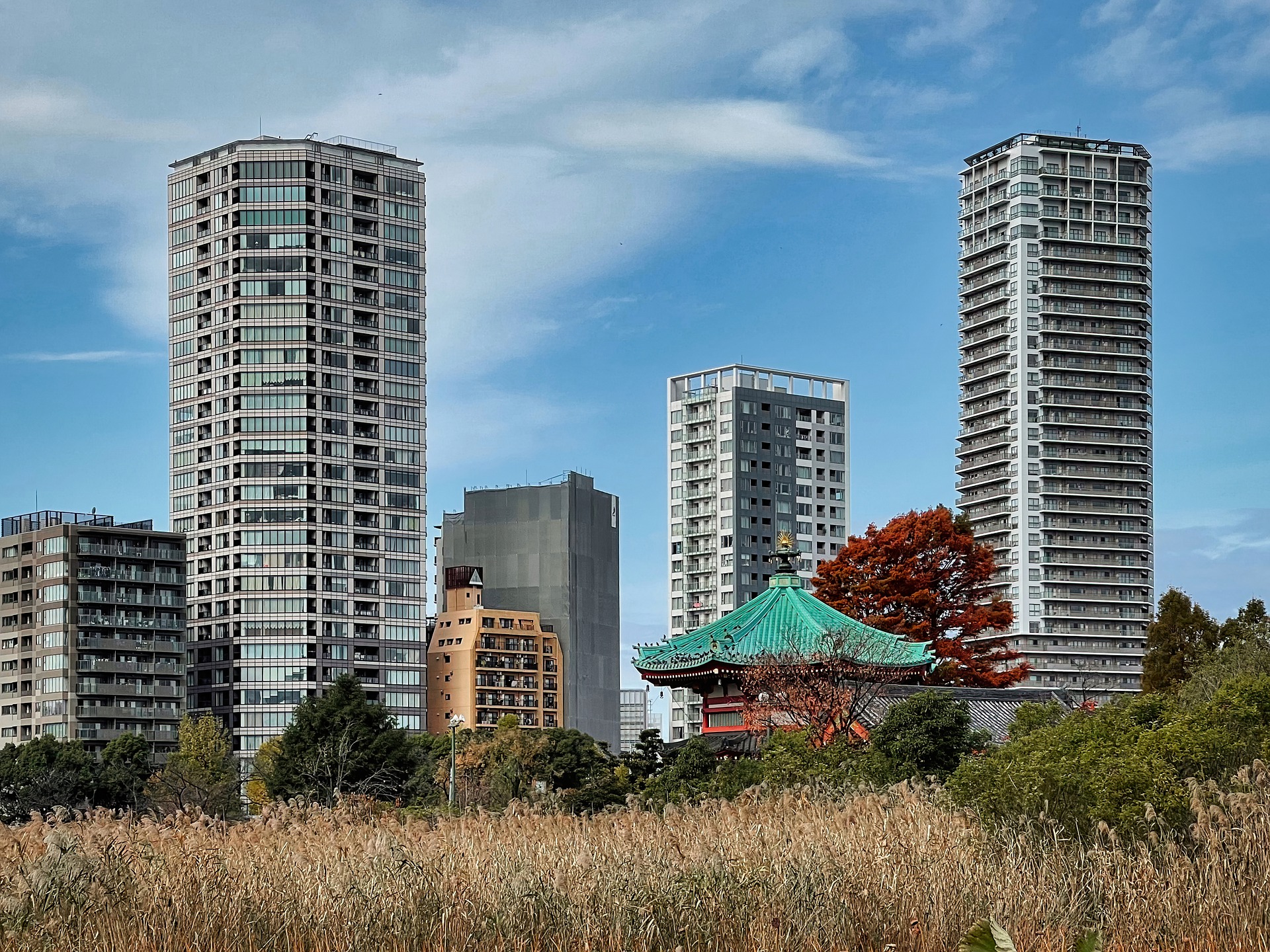 How to Live in Tokyo with the Cheapest Costs? - EDOPEN Japan