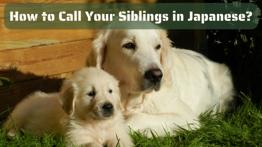 How to Call Siblings in Japanese? - EDOPEN Japan